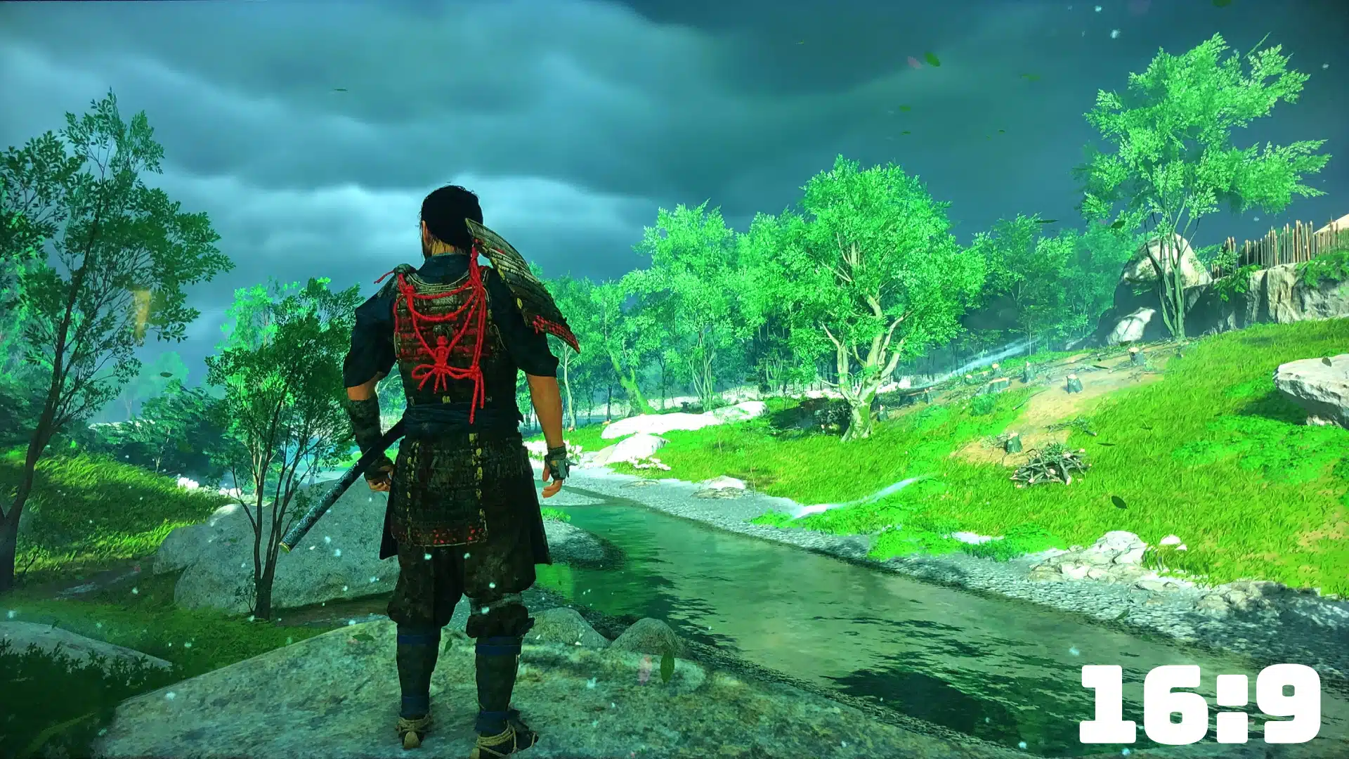 TCL QM7 Review - Price for Performance and Feature Value - MP1st